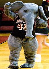 Rose-Hulman Institute of Technology